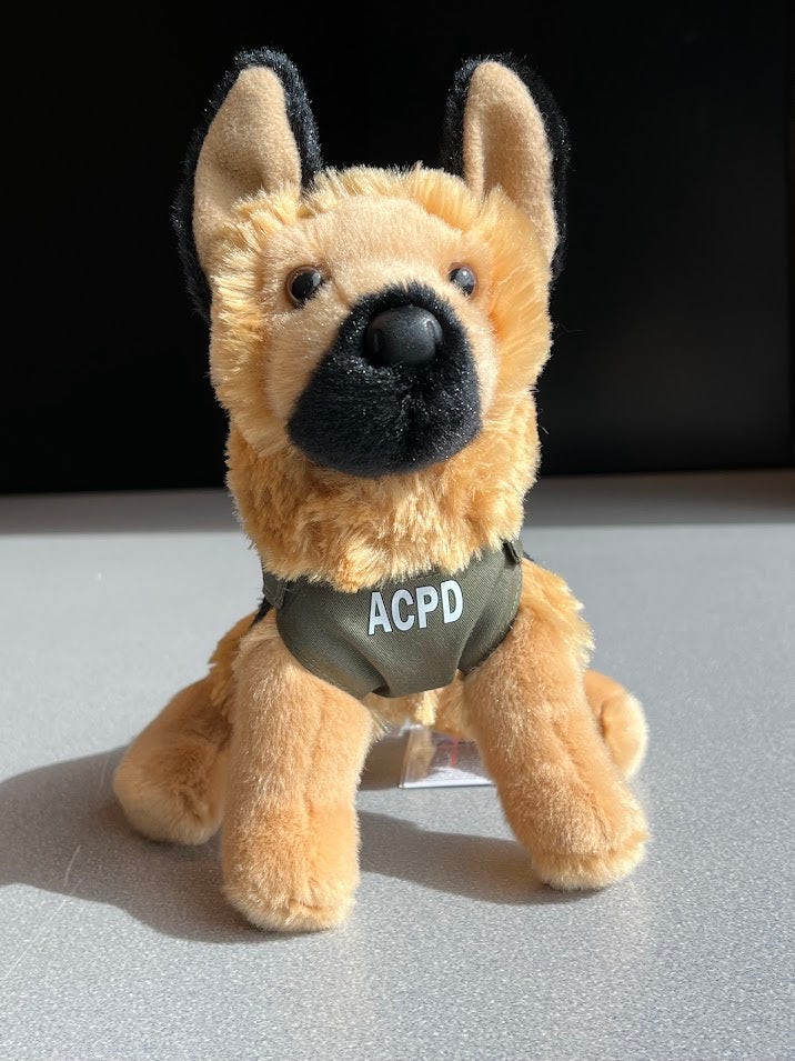 k9 teddy