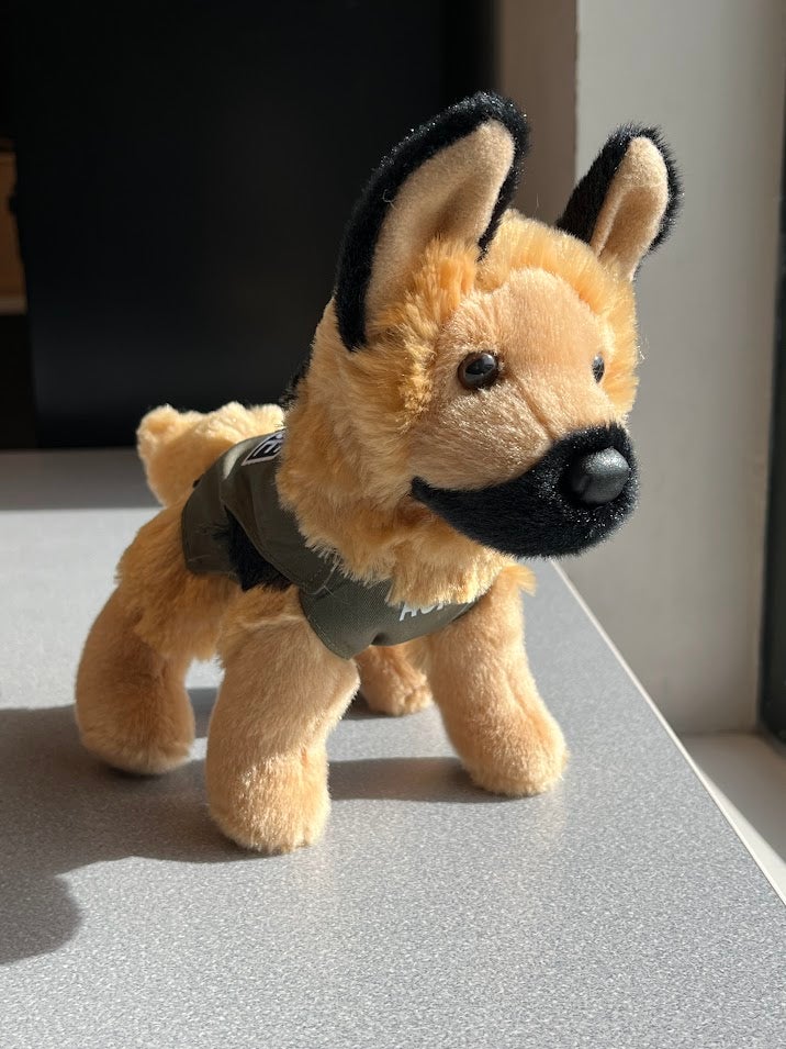 k9 teddy